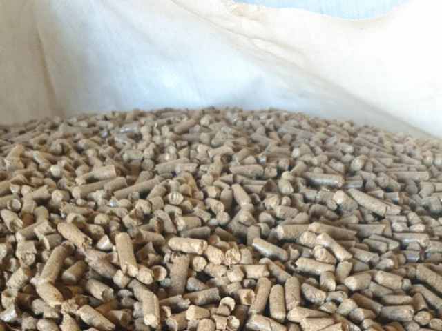 Oak Wood Pellets – JBS USA GROUP